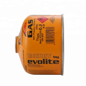 Camping Gas 190g 227g 450g Canister Gas Cartridge with EN417 Threaded ...